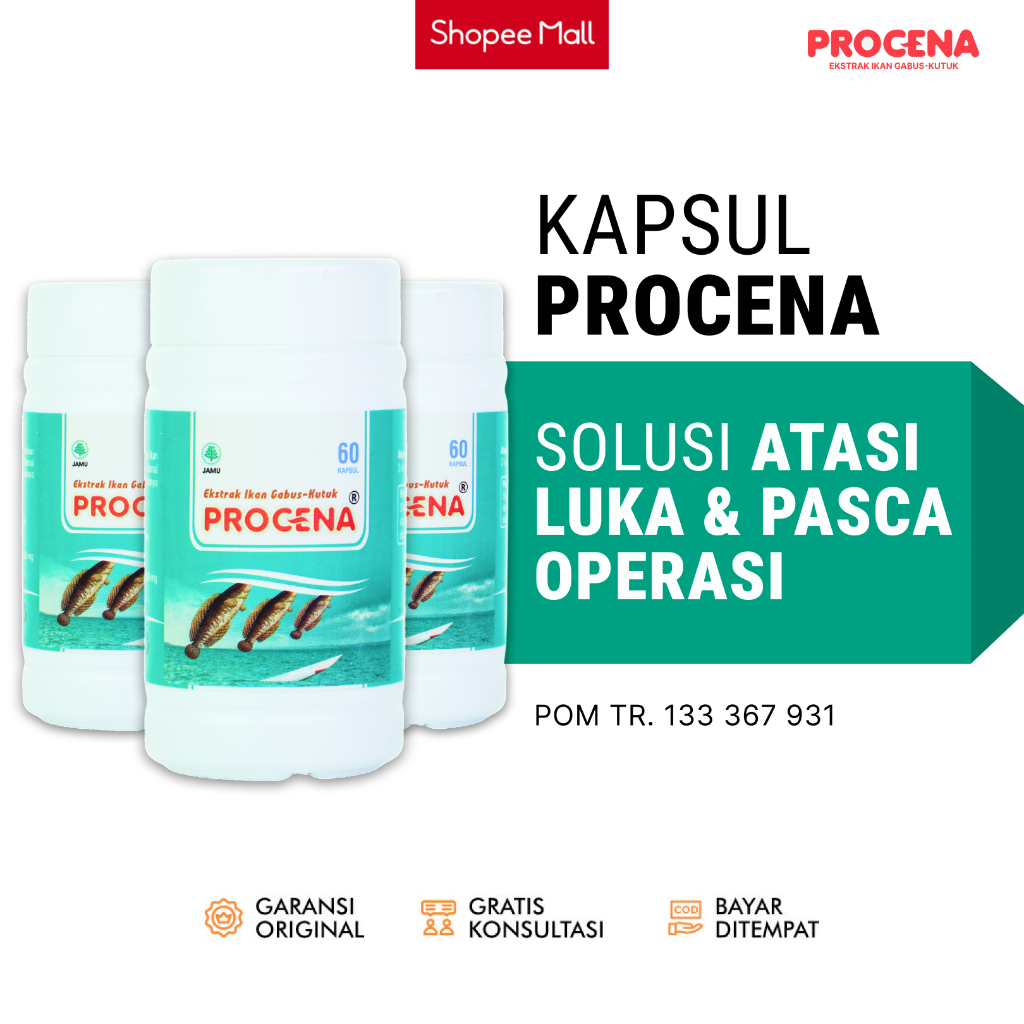 Jual Procena Kapsul Ikan Kutuk Obat Luka Pasca Operasi - 3 Botol ...