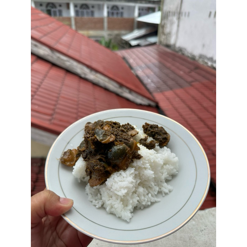 Jual Rendang Lokan Pakis 1/2 Kg | Shopee Indonesia