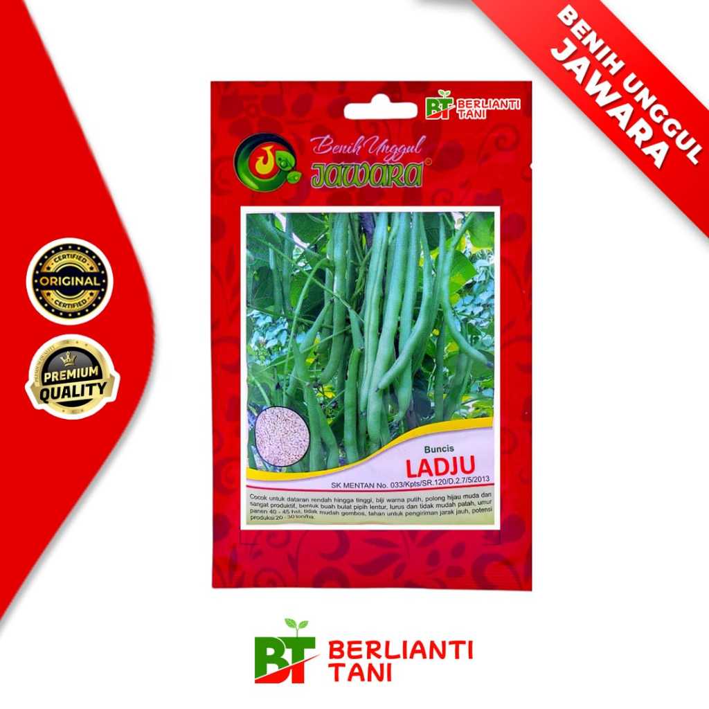 Jual Benih Unggul JAWARA Buncis LADJU ISI 100 Gram | Shopee Indonesia