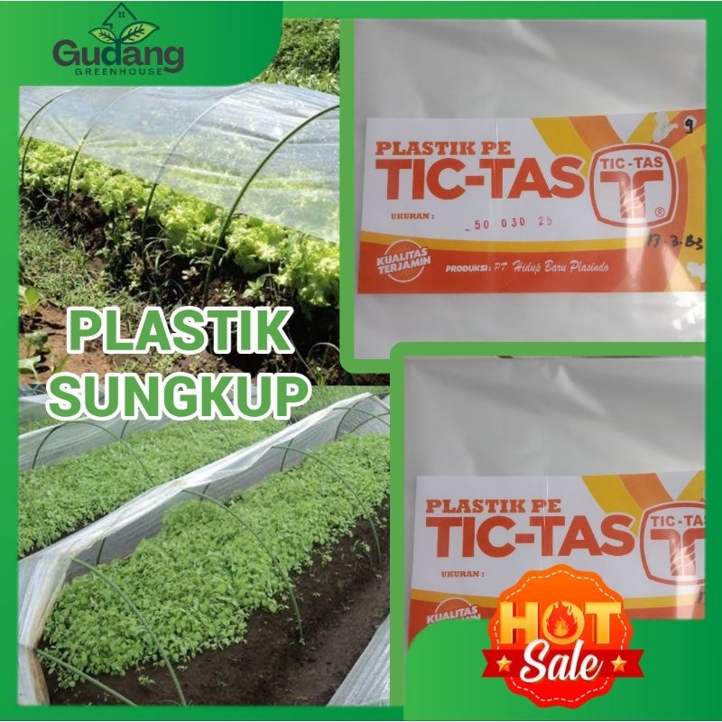 Jual Plastik Sungkup Lebar 3 Meter Panjang 25 Meter | Shopee Indonesia