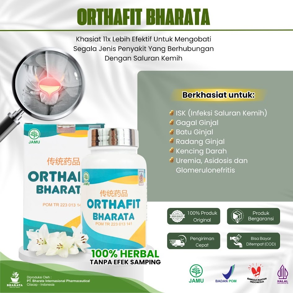 Jual Orthafit Bharata Obat ISK Infeksi Saluran Kemih - Obat Kencing Darah - Obat Ginjal | Shopee ...