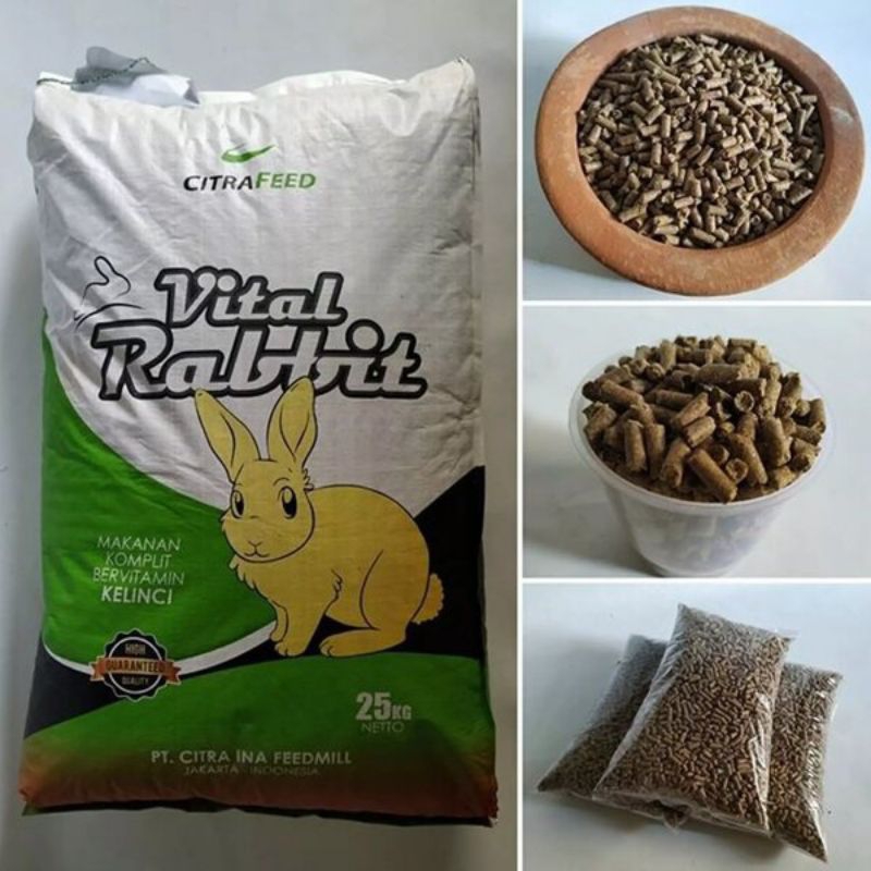 Jual VITAL RABBIT CAT FOOD MAKANAN KELINCI RABBIT FOOD 1 KG REPACK ...