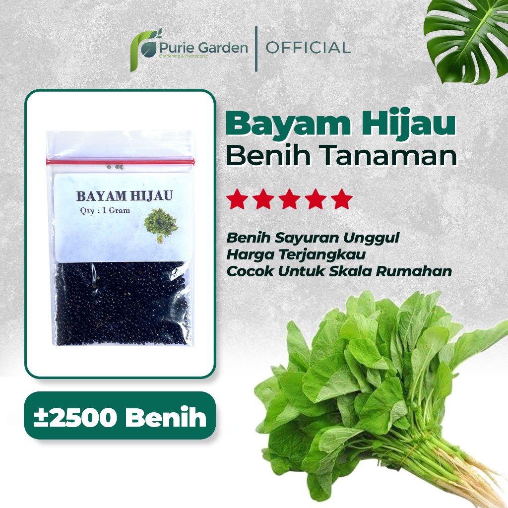 Jual Benih Bibit Bayam Hijau 2500+ Benih PG KDR | Shopee Indonesia