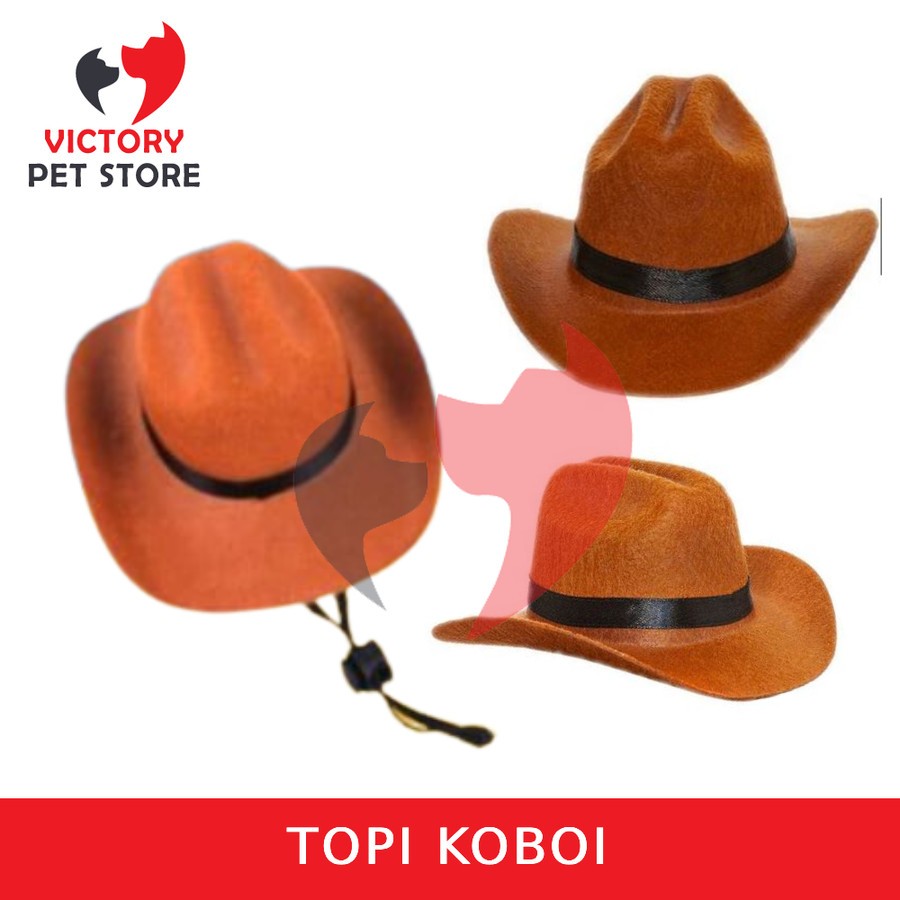 Jual Topi Kucing Hewan Anjing Kucing Model Koboi Trendi dan Stylish ...