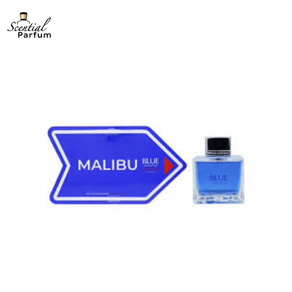 Jual Antonio Banderas Blue Seduction For Men EDT 100Ml ( Malibu Box ...