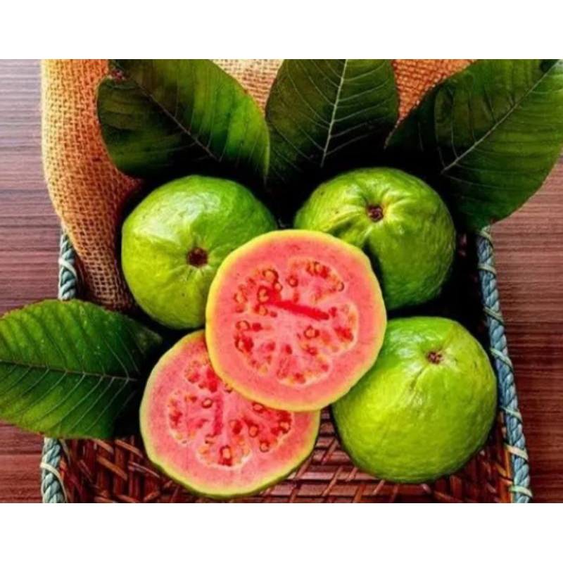 Jual Jambu biji merah 1 kg | Shopee Indonesia