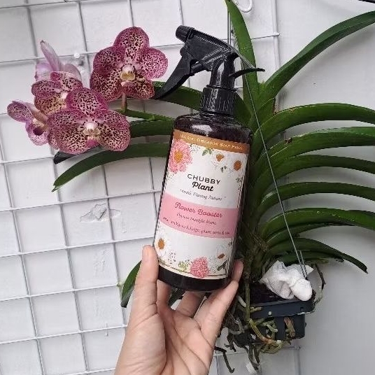 Jual chubby plant Nutrisi cair tanaman hias vanda anggrek dendro mawar ...