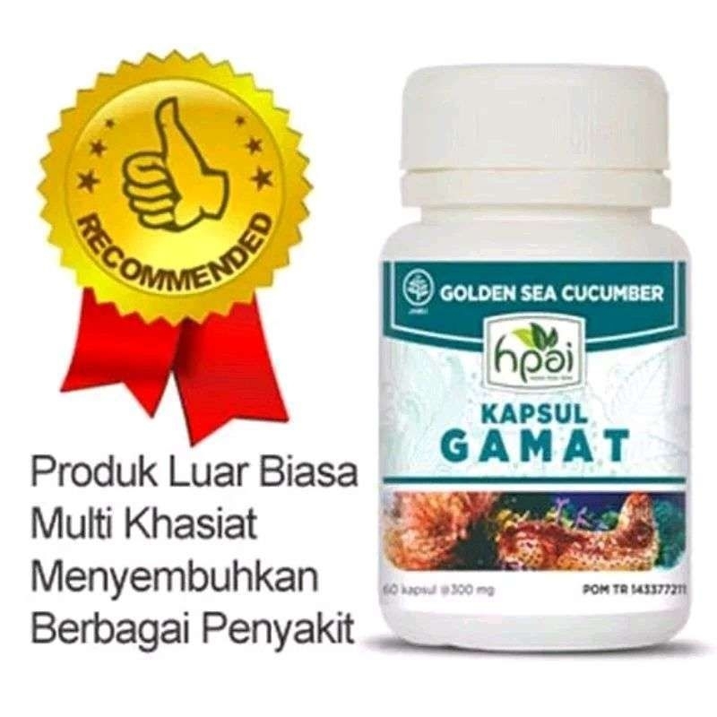 Jual GAMAT KAPSUL HNI HPAI | GAMAT ORIGINAL HNI | TERIPANG EMAS GOLDEN ...