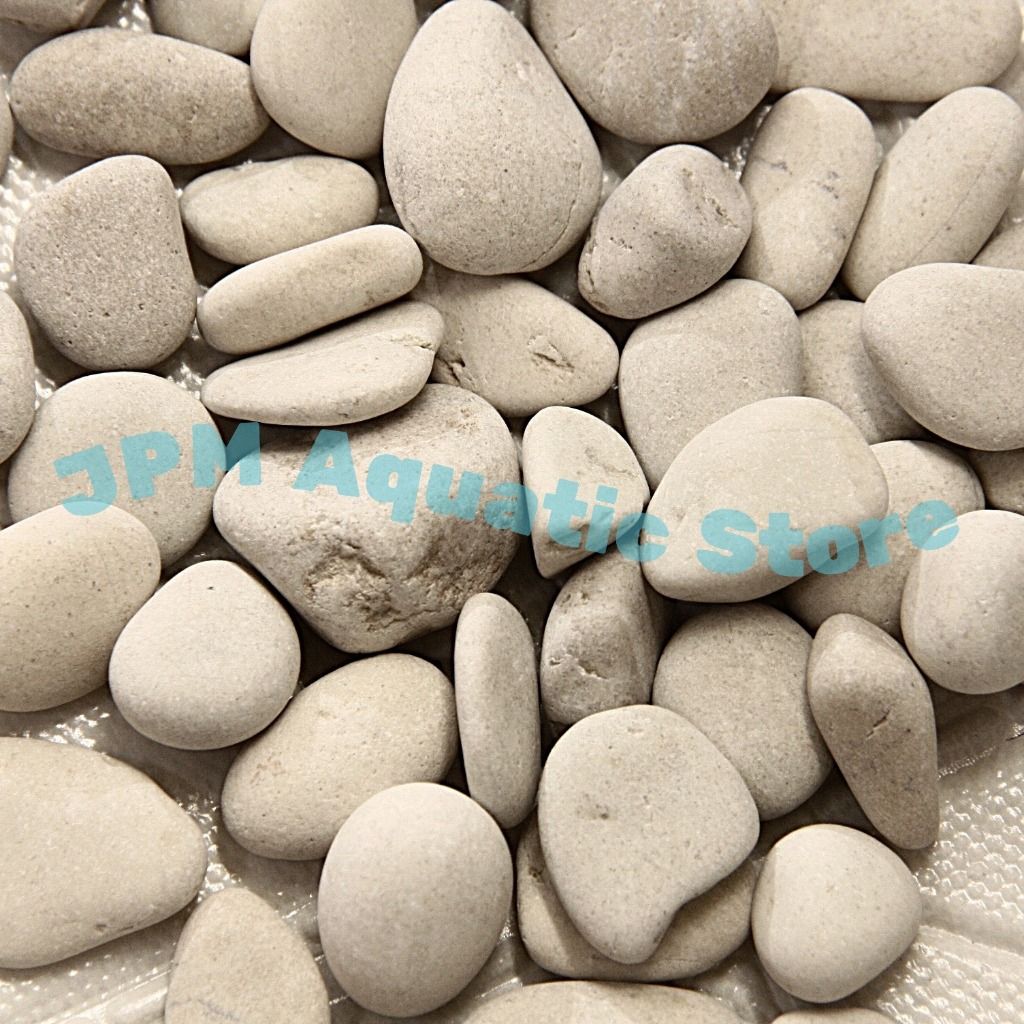 Jual 𝐁𝐀𝐓𝐔 𝐇𝐈𝐀𝐒 𝐓𝐀𝐍𝐀𝐌𝐀𝐍 / 𝐁𝐀𝐓𝐔 𝐀𝐐𝐔𝐀𝐑𝐈𝐔𝐌 / 𝐁𝐀𝐓𝐔 𝐀𝐐𝐔𝐀𝐒𝐂𝐀𝐏𝐄 𝐊𝐎𝐋𝐀𝐑 𝐏𝐔𝐓𝐈𝐇 ...
