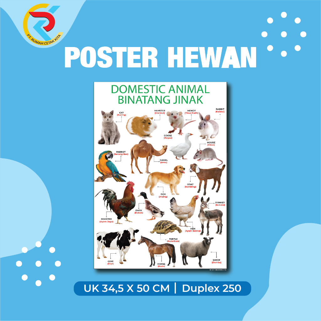 Jual Poster Edukasi Anak Aneka Hewan 20 | Hiasan Dinding Ruangan Kelas ...