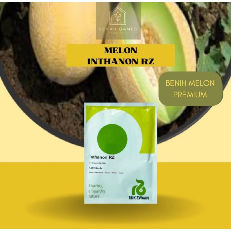 Jual Bibit Melon Inthanon Rz F1 Original 1000 Biji | Shopee Indonesia