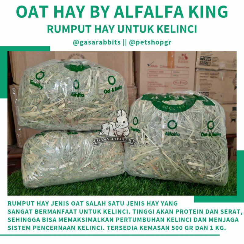 Jual OAT HAY 1 KG - OAT HAY ALFALFA KING - HAY ALFALFA KING - RUMPUT ...