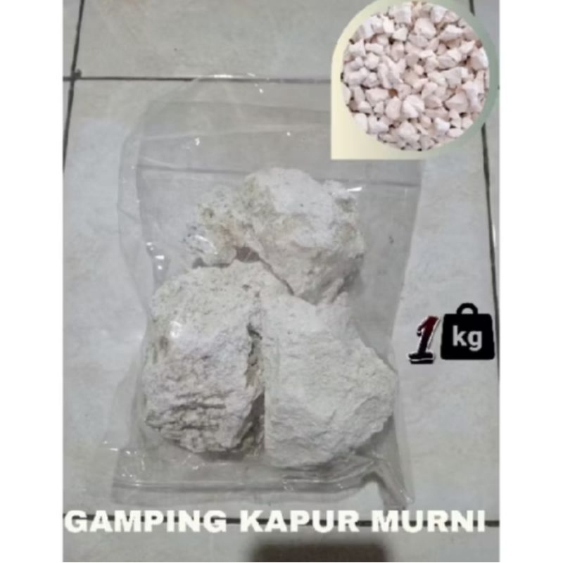 Jual Batu Gamping Kapur Murni Aktif 1 Kg -Berkualitas Premium untuk ...