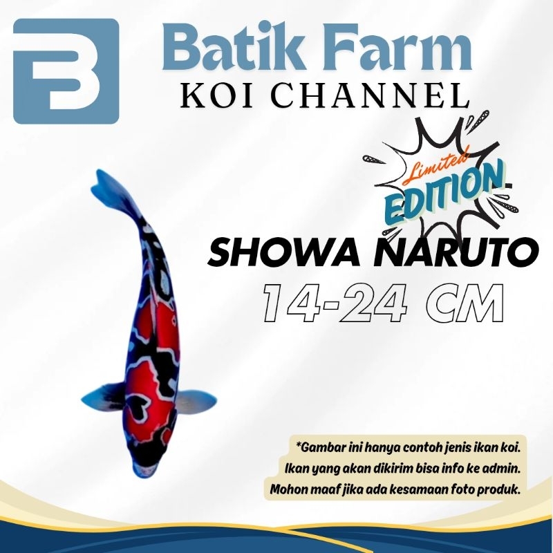 Jual Showa Naruto Doitsu 14-24 cm - Showa Naruto - Showa Doitsu ...
