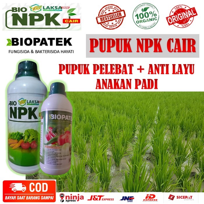 Jual (HEMAT) pupuk pelebat anakan padi plus anti layu, kresek dan sundep - BIO NPK CAIR LAKSA ...