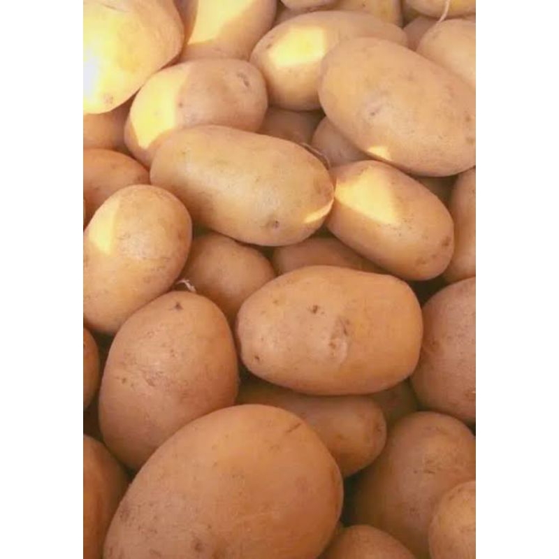 Jual Kentang kuning/kentang Dieng 1kg | Shopee Indonesia