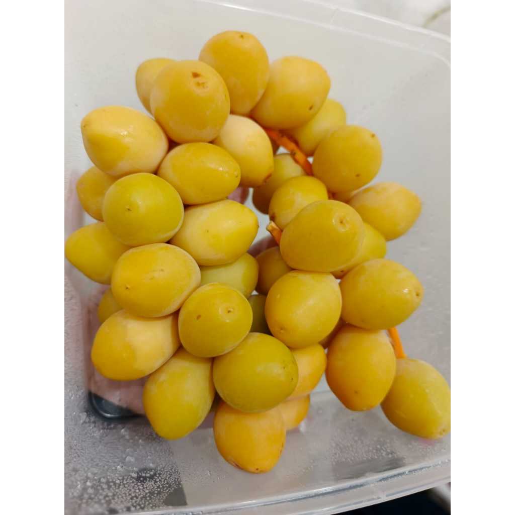 Jual Kurma Muda Fresh 500gr | Kurma Ruthob ASLI | Shopee Indonesia