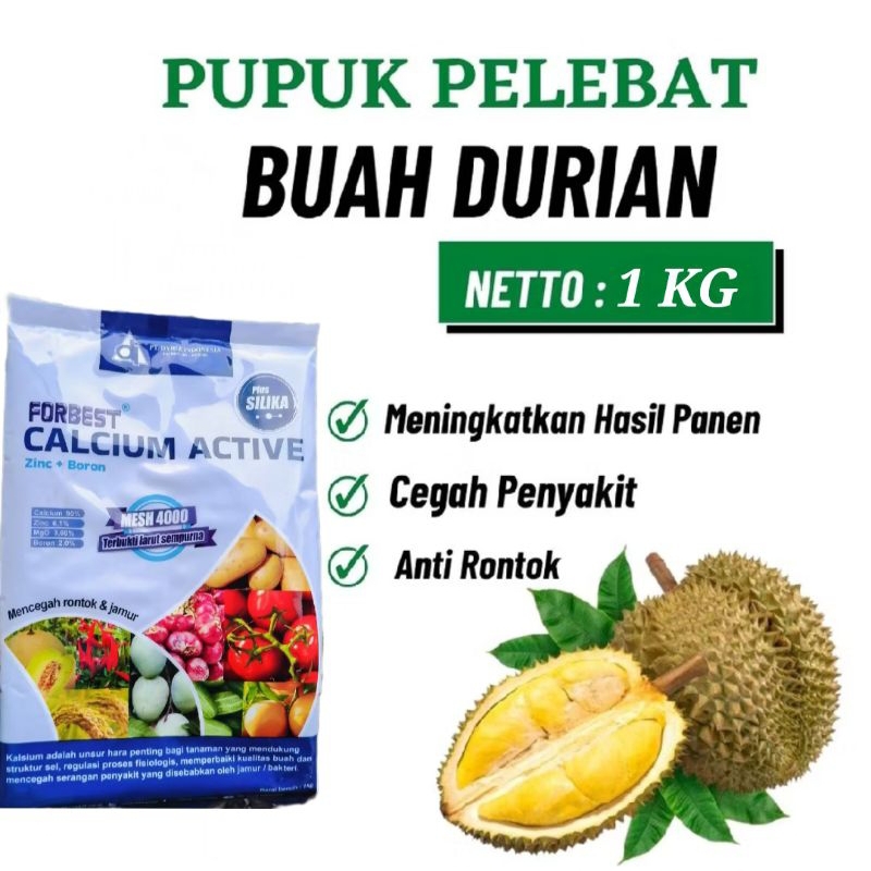 Jual PUPUK DURIAN ATASI BUNGA RONTOK, BUAH GUHUR DAN BUSUK BUAH ...