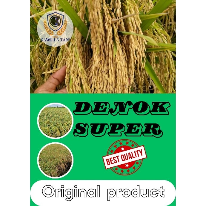 Jual BENIH PADI DENOK SUPER 1KG PREMIUM | Shopee Indonesia