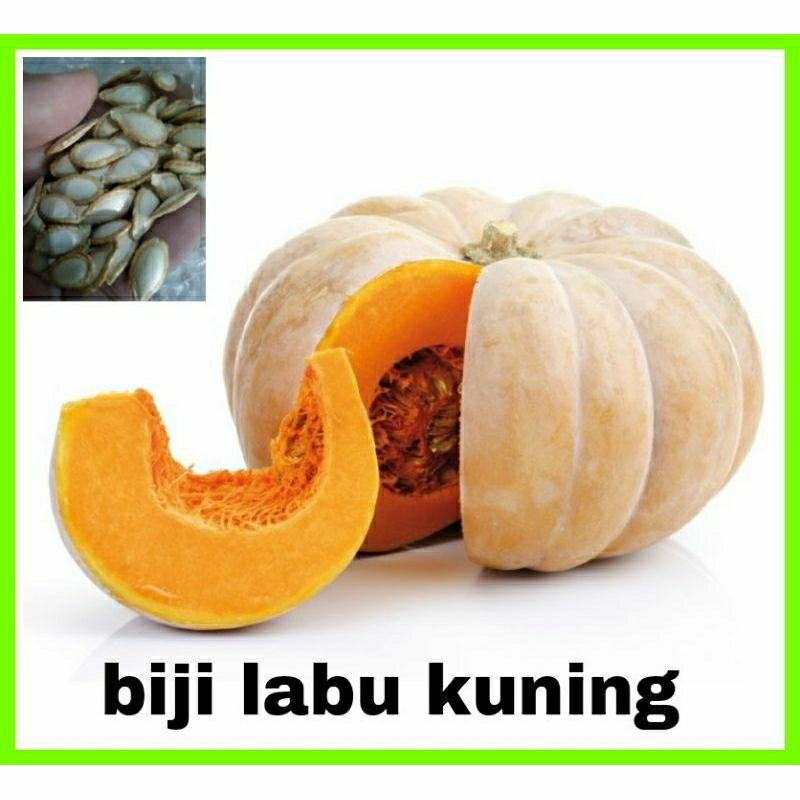Jual 10 biji benih waloh/labu kuning super unggul | Shopee Indonesia