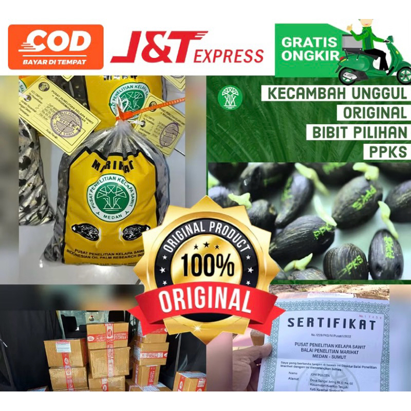 Jual PPKS DXP MARIHAT UNGGUL SERTIFIKAT ISI 250 | Shopee Indonesia