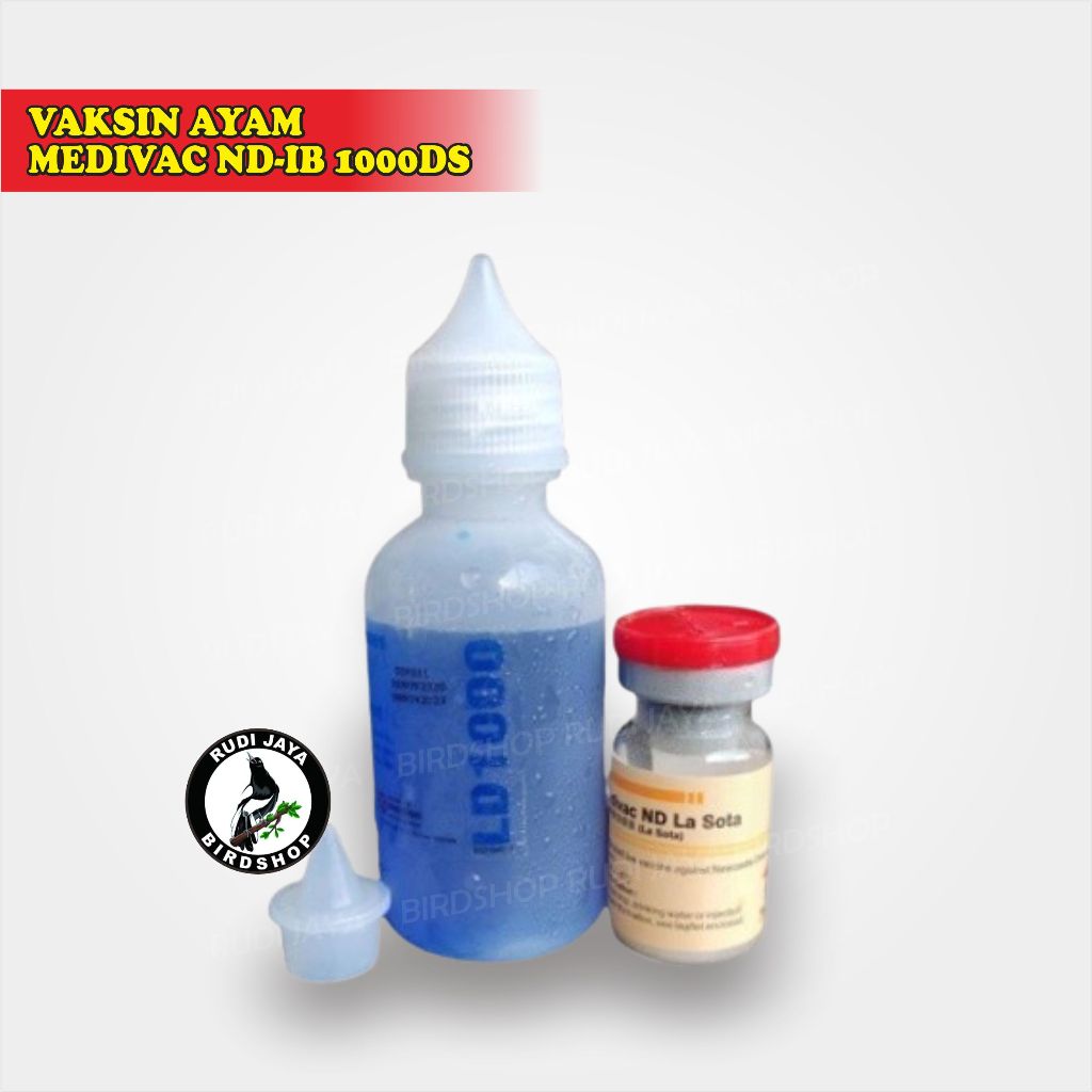 Jual VAKSIN AYAM MEDIVAC ND-IB 1000DS DOSIS 1000 AYAM OBAT AYAM SAKIT ...
