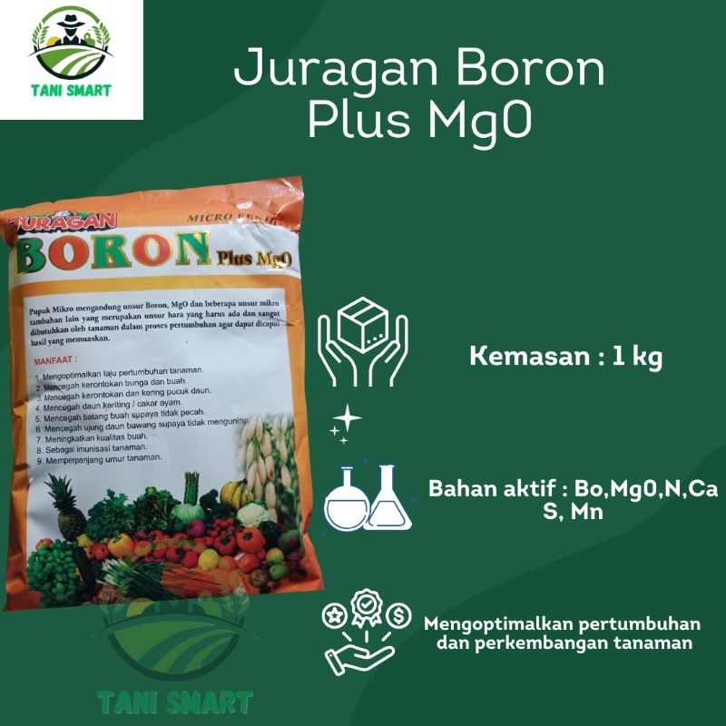 Jual KALSIUM JURAGAN BORON PLUS MgO MICRO FERTILIZER 1KG | Shopee Indonesia