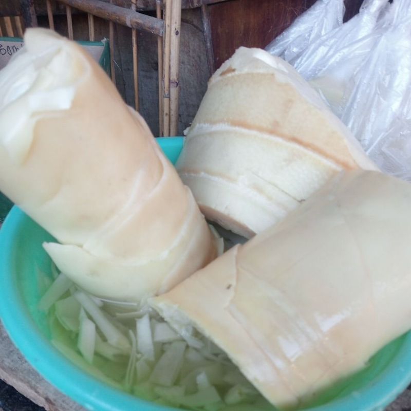 Jual Rebung Petung Rebus 1kg | Shopee Indonesia