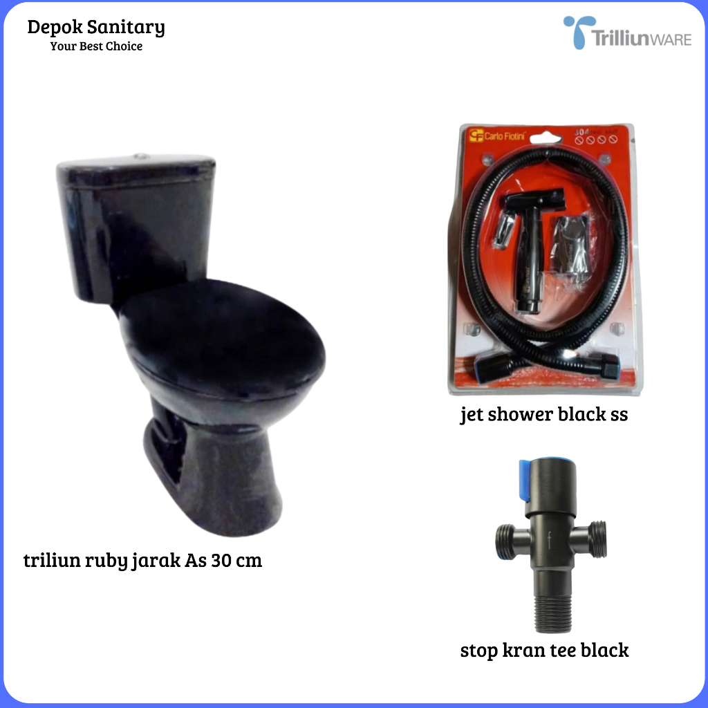 Jual CLOSET DUDUK HITAM TRILLIUNWARE DUAL FLUSH | Shopee Indonesia