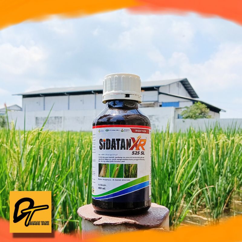 Jual Insektisida SIDATAN XR 525 SL 400ml Untuk Hama Wereng Sundep ...