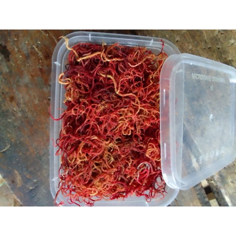 Jual rumput laut merah kering kemasan kap | Shopee Indonesia