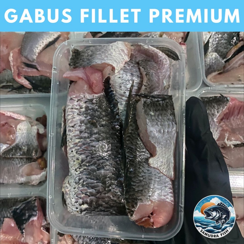 Jual GABUS FILLET PREMIUM | Shopee Indonesia
