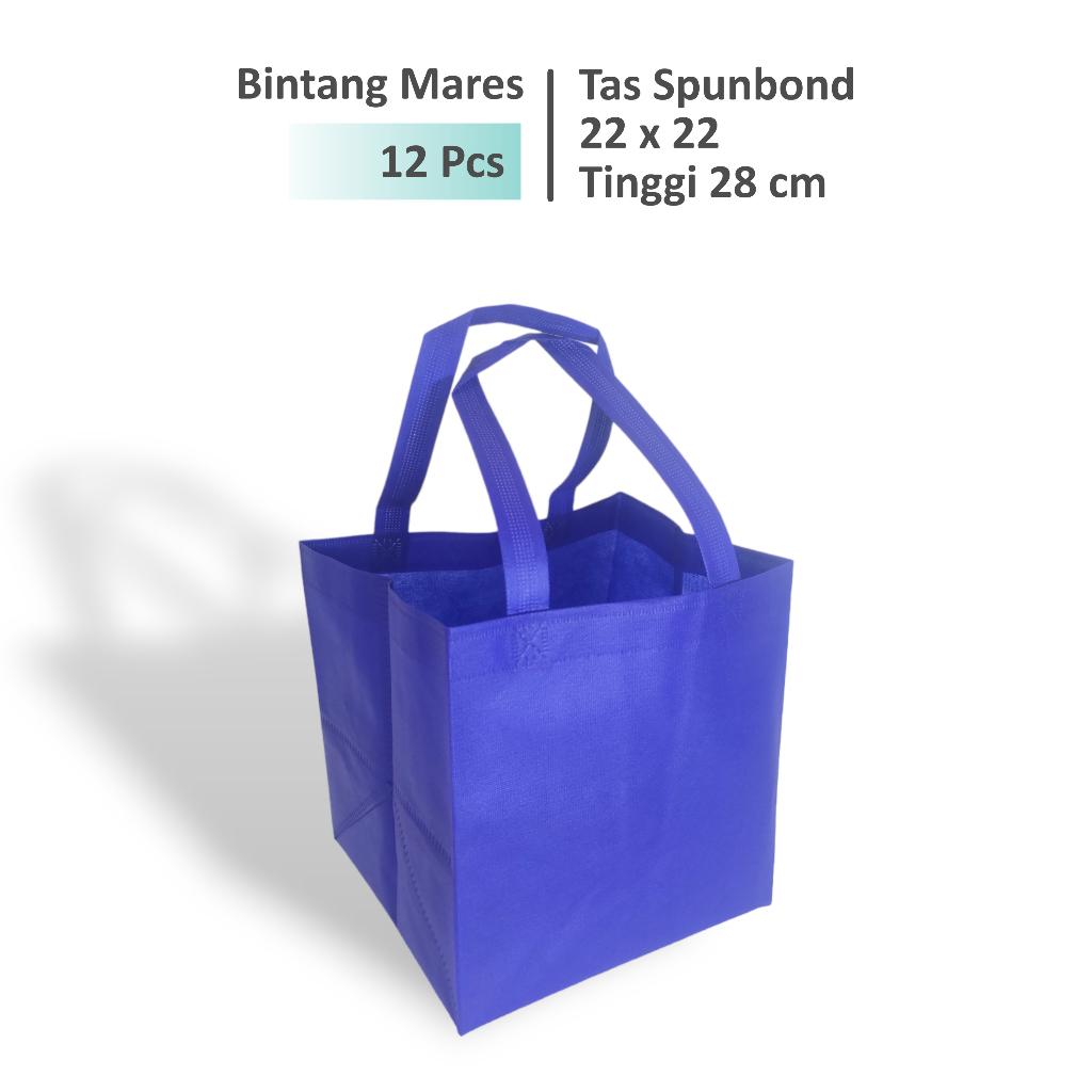 Jual (12 Pcs) Tas Hajatan 22x22 Tinggi 28 cm / Tas Box Nasi / Tas Spunbond | Shopee Indonesia