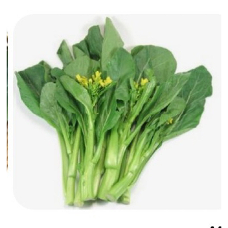 Jual Baby Kailan - 500gram | Shopee Indonesia