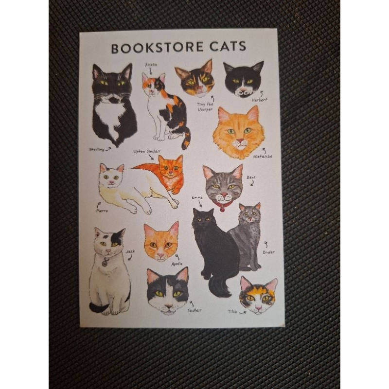 Jual kartu pos kartun kucing /Cat postcard | Shopee Indonesia