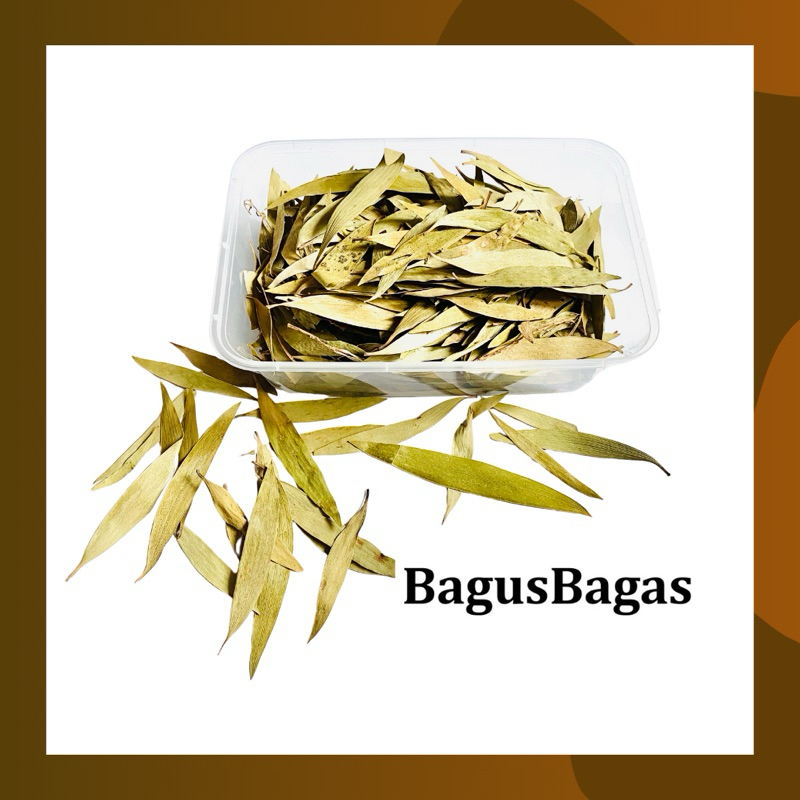 Jual 50gr Daun Kayu Putih Kering Eucalyptus Ekaliptus Serai Wangi ...
