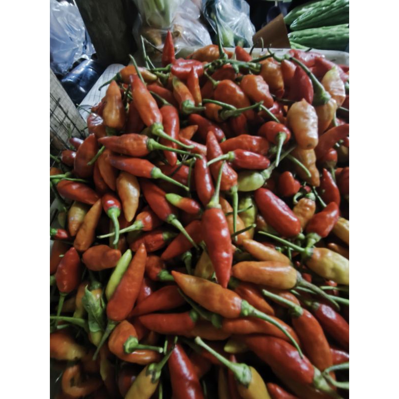Jual cabai/cabe rawit merah berat 250grm | Shopee Indonesia