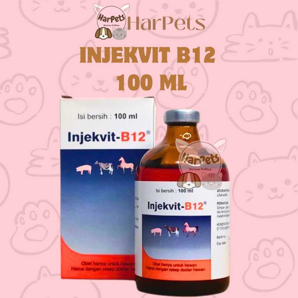 Jual INJEKVIT B12 100 ml - Vitamin B12 untuk perbaiki kondisi tubuh ...