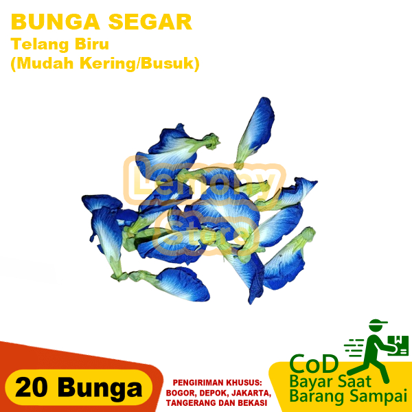 Jual Bunga Telang Biru Segar Obat Herbal 20 Bunga (KHUSUS JABODETABEK ...