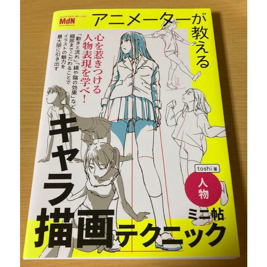 Jual Learn Character Drawing Techniques from Animator Toshi : Person ...