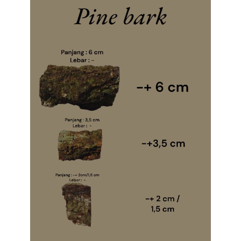 Jual Media tanam kulit pinus, Pine Bark, Media tanam bunga anggrek ...