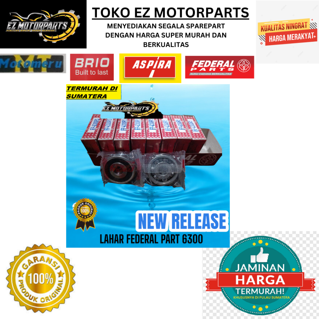 Jual LAHAR/BEARING 6300 1RS MERK FEDERAL PART | Shopee Indonesia