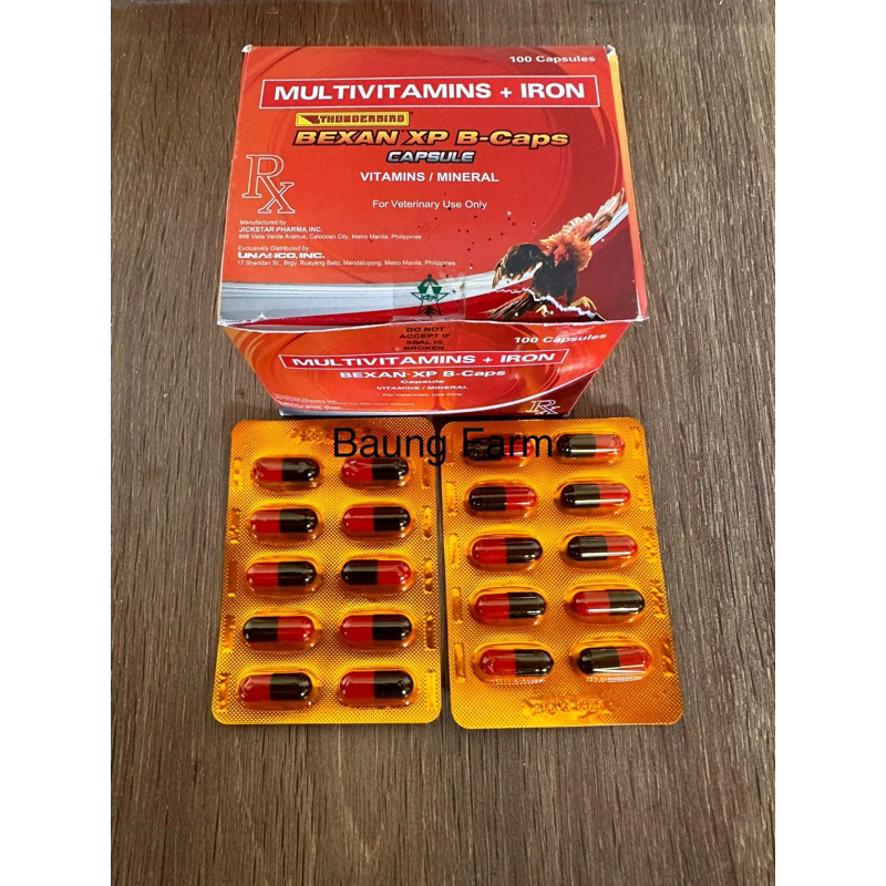 Jual Bexan Capsul 1 Box isi 100 Tab | Shopee Indonesia