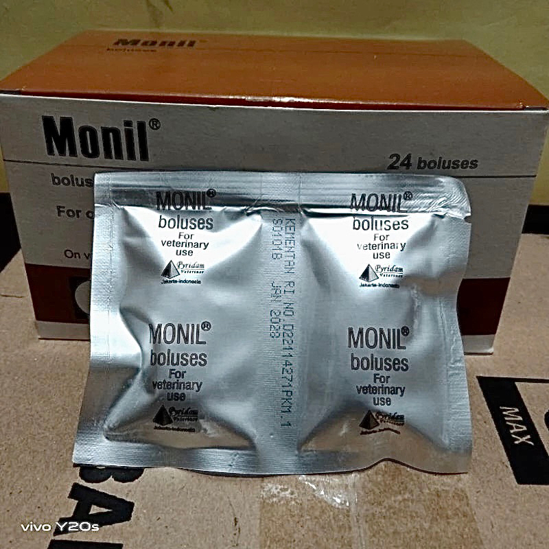 Jual MONIL ( OBAT CACING LEGENDARIS ) untuk SAPI DOMBA KAMBING KUDA PER ...