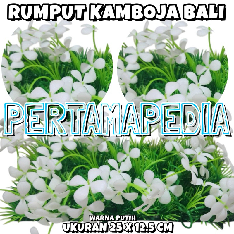 Jual RUMPUT KAMBOJA BALI Ukuran 25X12.5 Cm/ Rumput Artificial/ Rumput ...