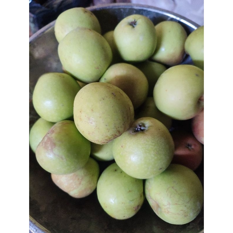 Jual apel manalagi mini 1 kg | Shopee Indonesia