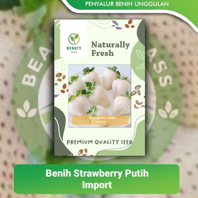 Jual 10 Bibit Strawberry Putih - Benih Buah Strawberry Premi White ...
