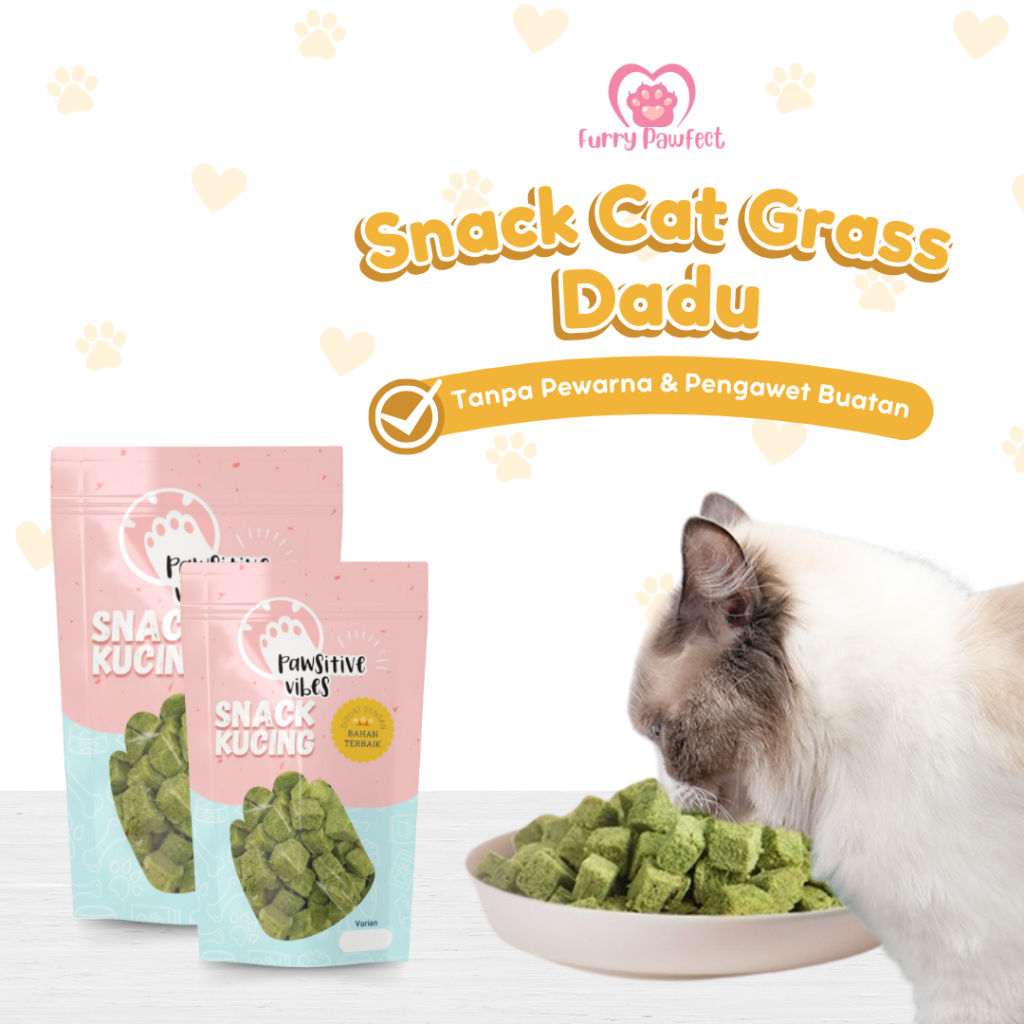 Jual Snack Rumput Kucing - Cat Grass Premium Grass Wheatgrass - Cemilan ...