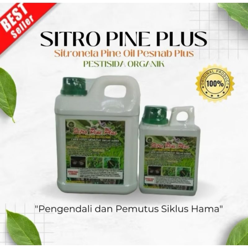 Jual SITRO PINE PLUS ( SPP) Pestisida Nabati Ramah Lingkungan Efektif Mengatasi Hama Ulat Grayak ...
