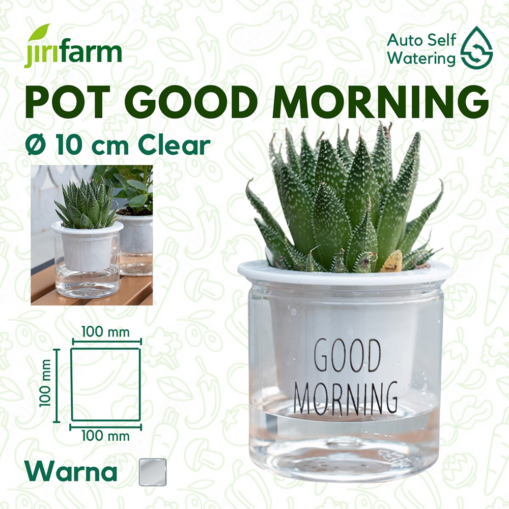 Jual JIRIFARM - Pot Bunga Good Morning Bulat Size 10 - Tanaman Hias ...